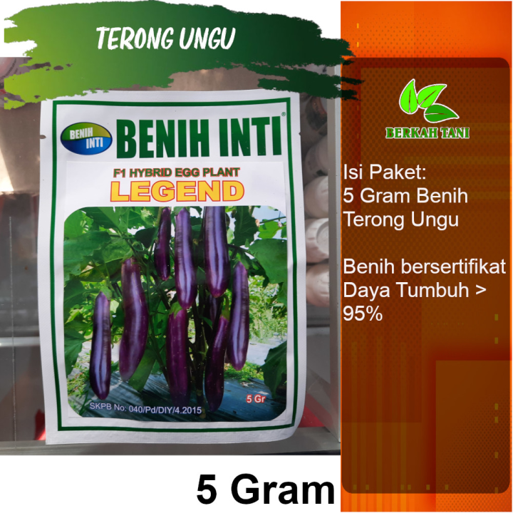 Benih Biji Seed Terong Ungu 5 Gram | Lazada Indonesia