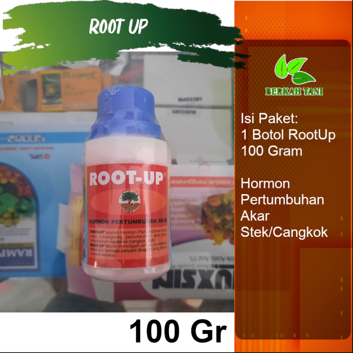 Root Up Rootup 100 Gram Hormon Akar Stek dan Cangkok | Lazada Indonesia