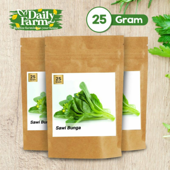 Benih Sayur Sawi Bunga ( 25 Gram ) | Lazada Indonesia