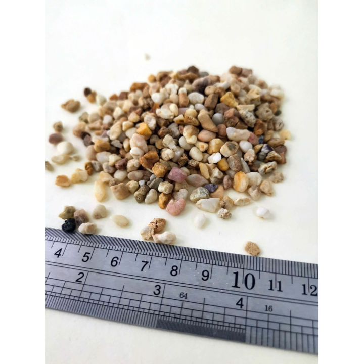 Holland Sand - 1kg substrate aquarium fish tank aquascape aquascaping | Lazada