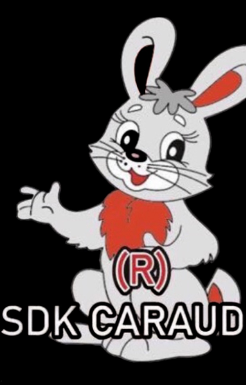 ช้อปออนไลน์ Sakda Caraudio Shop | Lazada Thailand