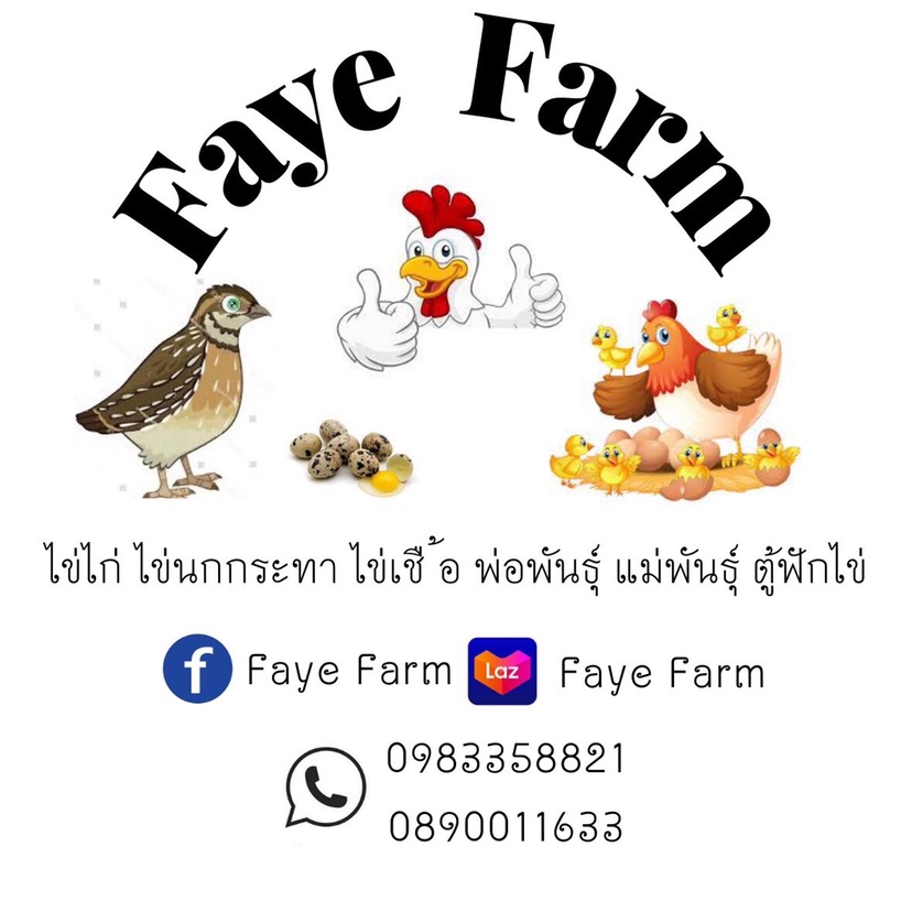 Faye farm ประเทศไทย ร้านค้าออนไลน์อย่างเป็นทางการ | ช้อปเลยบน Lazada