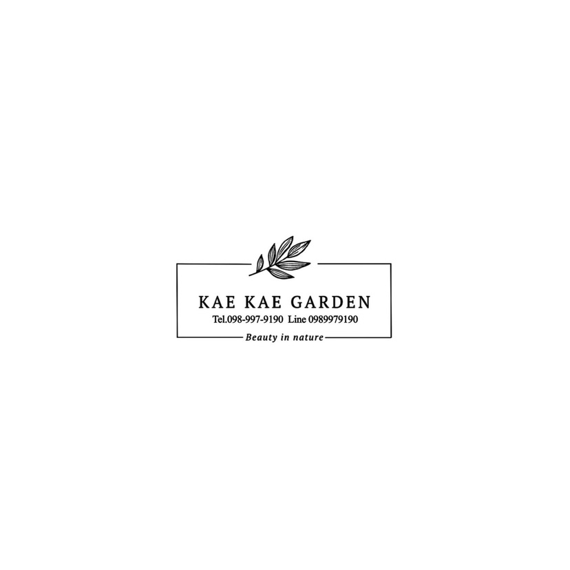 KAE KAE GARDEN 9 ประเทศไทย ร้านค้าออนไลน์อย่างเป็นทางการ | ช้อปเลยบน Lazada