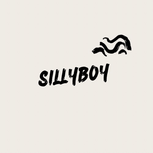 Sillyboy ร้านค้าอย่างเป็นทางทางในประเทศไทย ช้อปสะดวกปลอดภัย ที่ลาซาด้า ...