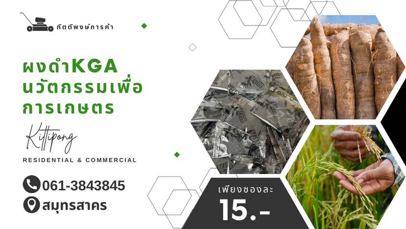 ช้อปออนไลน์ กิตติพงษ์การค้า | Lazada Thailand