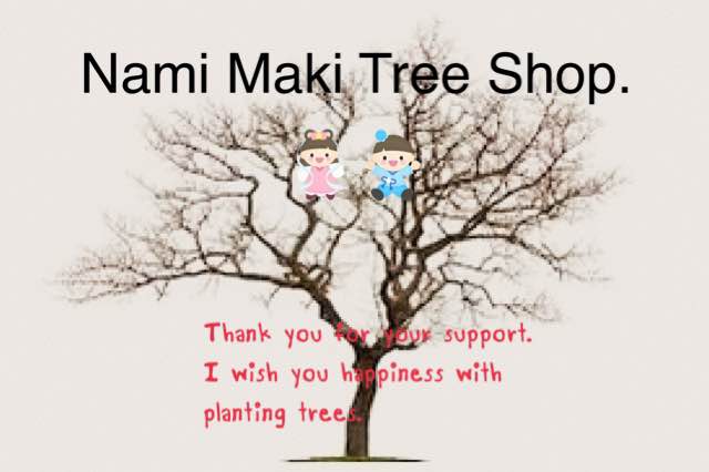 ช้อปออนไลน์ Nami Maki Tree Shop. | Lazada Thailand
