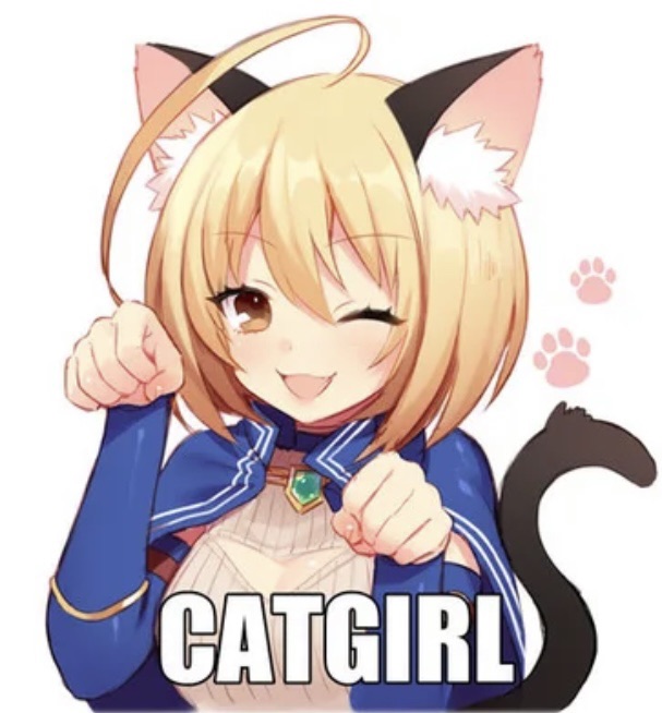 CAT&SS Official Store in Singapore, Online Shop 10 2024