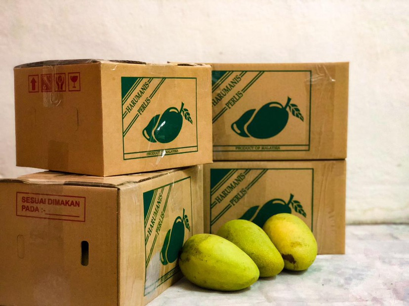 Shop Online With Hana Market Now Visit Hana Market On Lazada