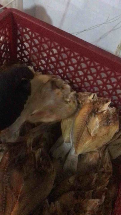 LAPU LAPU PREMIUM DRIED FISH | Lazada PH