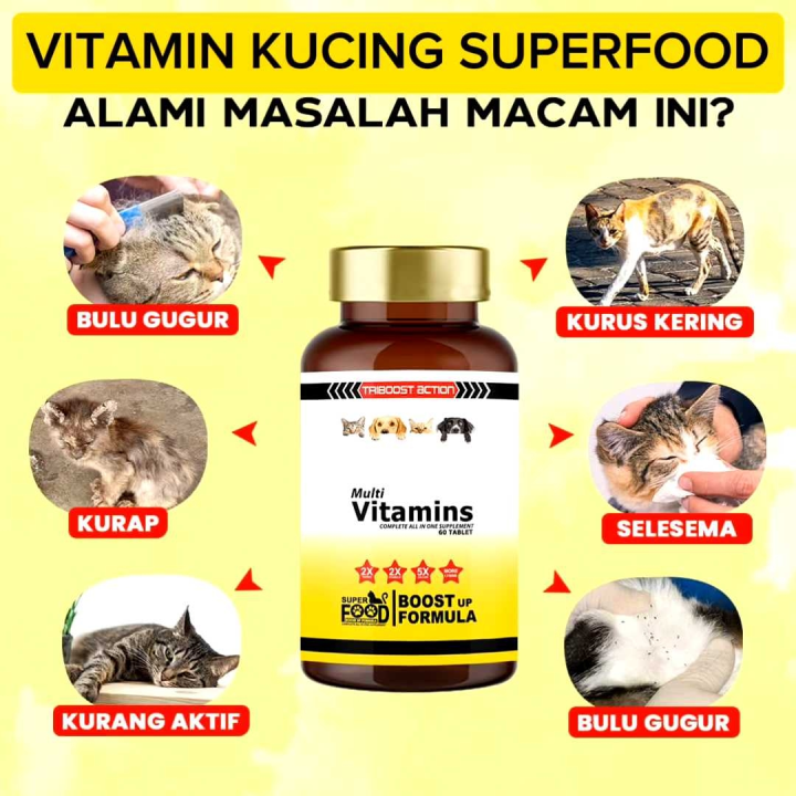 Vitamin Kucing Superfood Original HQ | Lazada