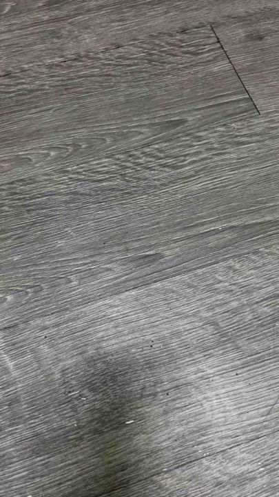 Seasal Drop Vemedim nhỏ mũi cho chó mèo giúp giảm hắt hơi chảy mũi hiệu ...