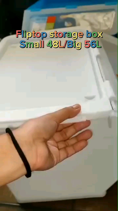 fliptop box storage box organizer(iwas ngatngat daga at ipis) | Lazada PH