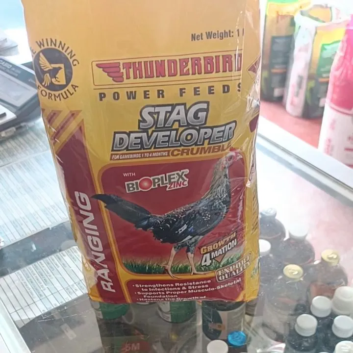 THUNDER BIRD STAG DEVElOPER | Lazada PH