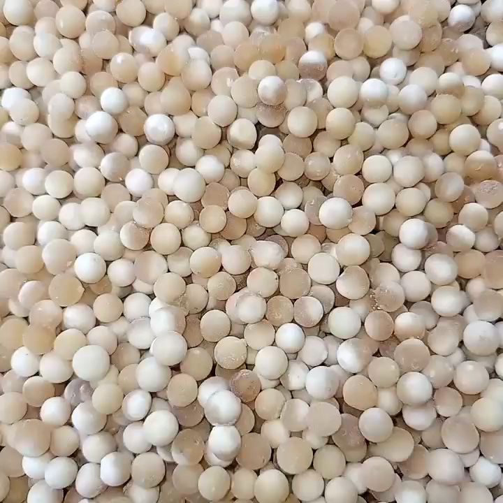 Sago medium size Tapioca Pearl 250g- 1kg | Lazada PH