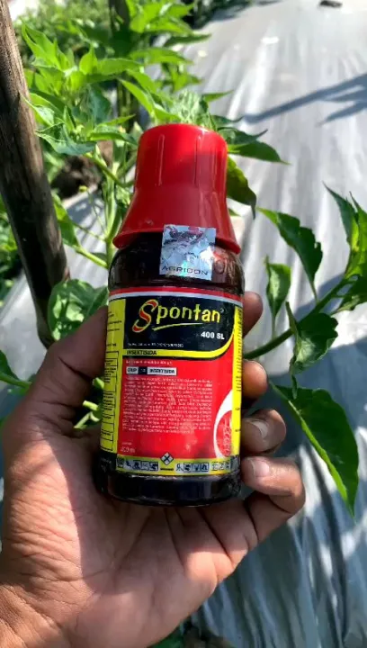 INSEKTISIDA SPONTAN 200ML | Lazada Indonesia