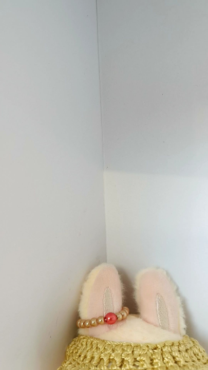 Fox- Labubu DRESS/ BAJU LABUBU TOMPI | Lazada Indonesia