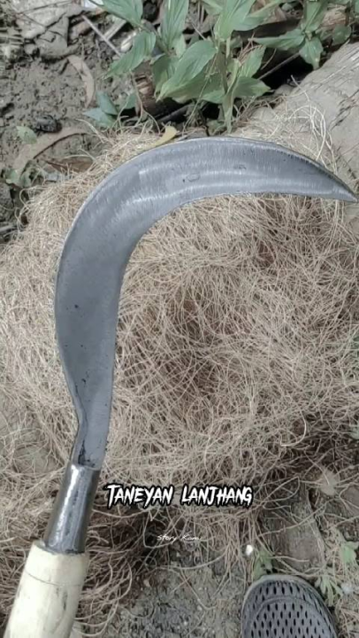 Arit Rumput Cap S Bawah Baja Asli Model Petonasen / Sabit Baja Asli ...