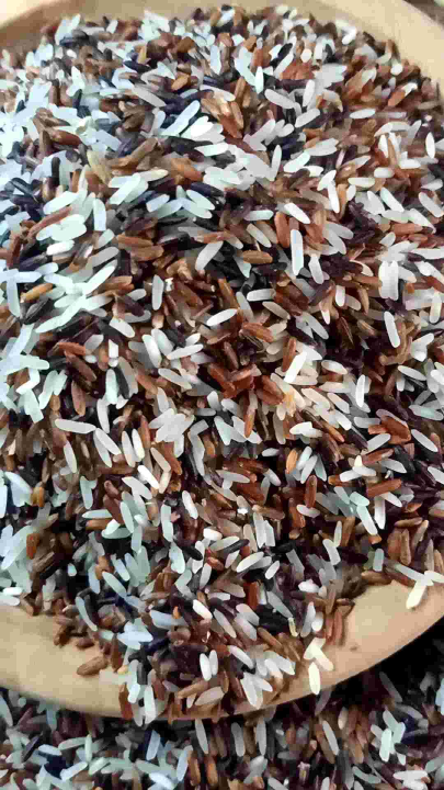 BERAS MIX ORGANIK - 1 KG - BERAS DIET - BERAS MERAH PUTIH HITAM ...