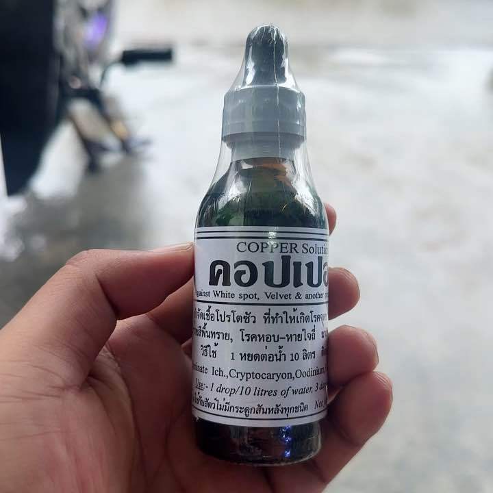 Copper Solution คอปเปอร์ สำหรับปลาสวยงาม Th