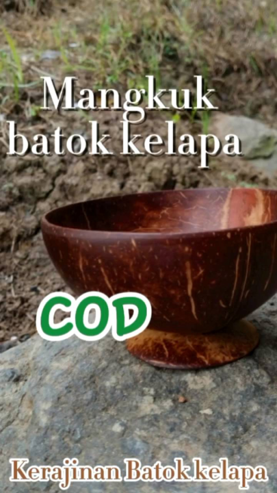 Mangkok Batok kelapa unik aesthetic mangkok bakso miy sup ukuran Lebar ...