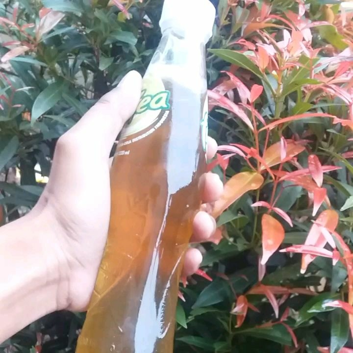 MADU ASLI MURNI ORIGINAL AS SYIFA BISA DI UJI KEMURNIANYA | Lazada ...