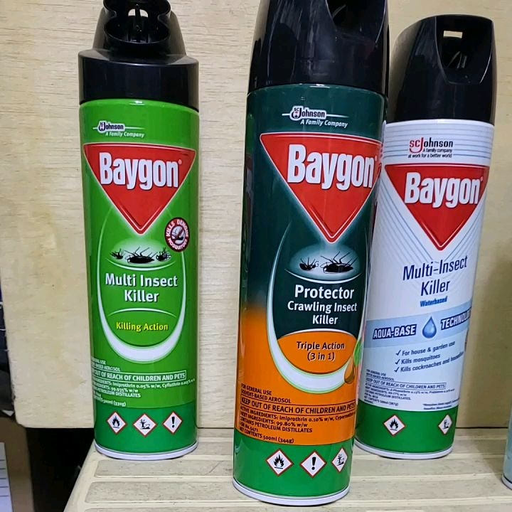 Baygon Multi-insect Killer Waterbased 500ml | Lazada PH