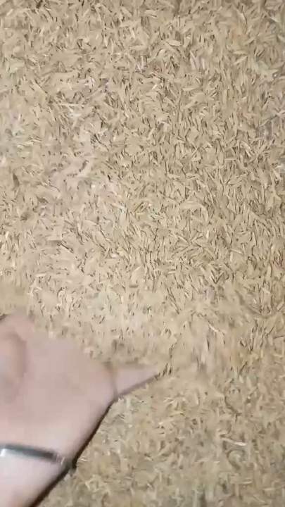 RICE HULL - IPA ng palay l COCO PEAT - READY TO SHIP | Lazada PH