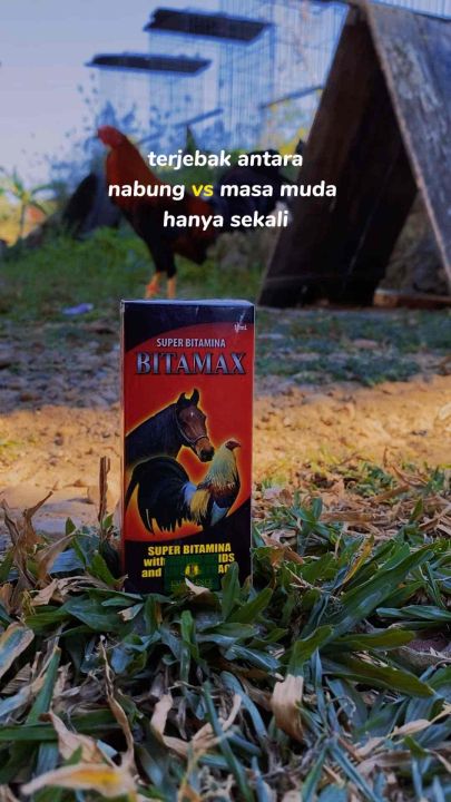 Bitamax vitamin ayam dengan Vitamin B-Complex + Asam Amino + Ekstrak ...