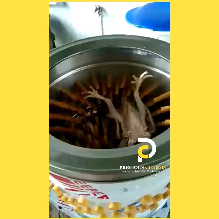 CHICKEN PLUCKER MACHINE / CHICKEN DRESSER / DE-FEATHERING MACHINE ...