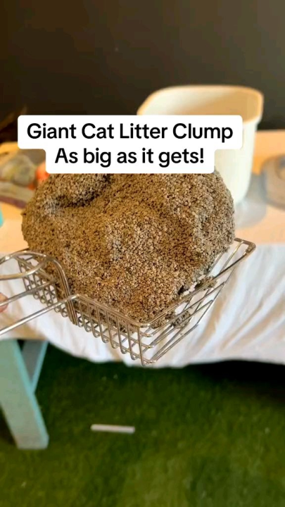 Meowtech Cat Litter 12.18L Ultra-fine Sand with Activated Charcoal ...