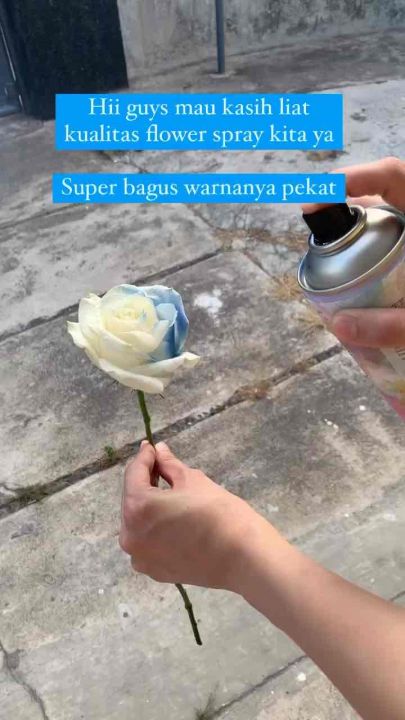 FLORAL COLOR SPRAY FLORAL SPRAY CEPAT KERING PENGUBAH WARNA BUNGA ASLI ...