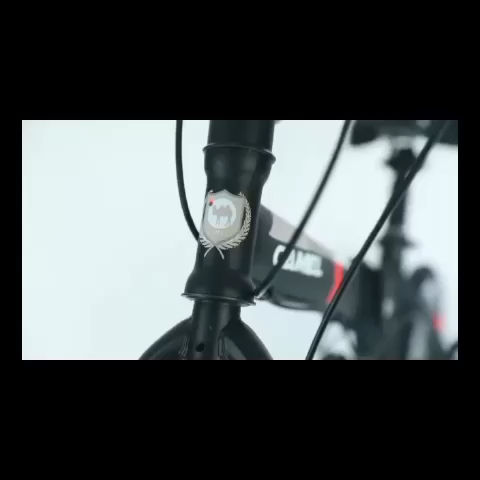 [SINGAPORE OFFICIAL SHOP ]CAMEL Foldable Bicycle with Disc Brake ...