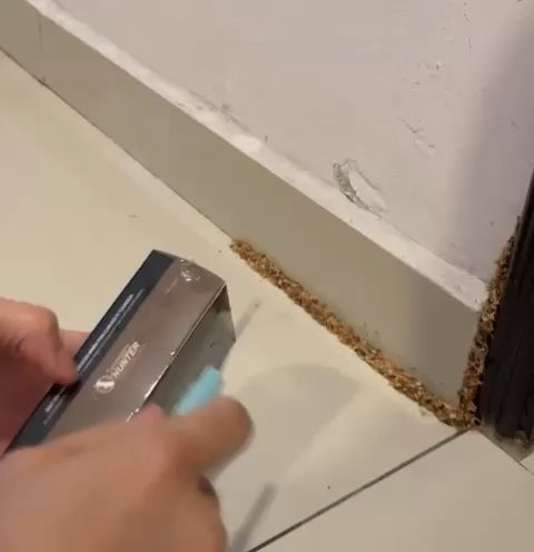 TERMITES HUNTER (5 box) Termite Baiting Station / Termite box / Kotak ...