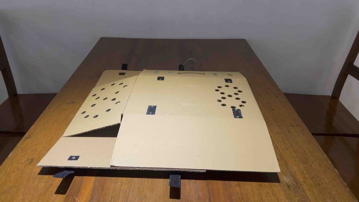 Gamefowl Chicken Derby Transport Box | Lazada PH