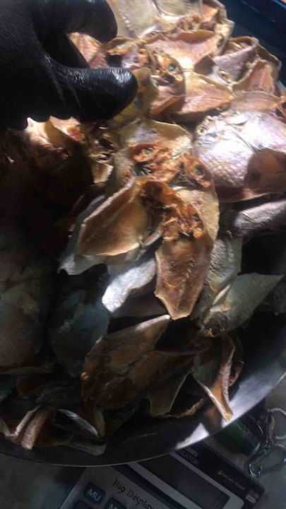 DANGGIT CEBU 1 KILO PREMIUM CLASS DRIED FISH | Lazada PH