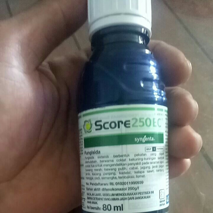 SCORE 250 ec syngenta fungisida sistemik penyakit tanaman | Lazada ...