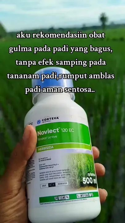 ORGINAL Herbisida Novlect 120EC 500 ml | Lazada Indonesia