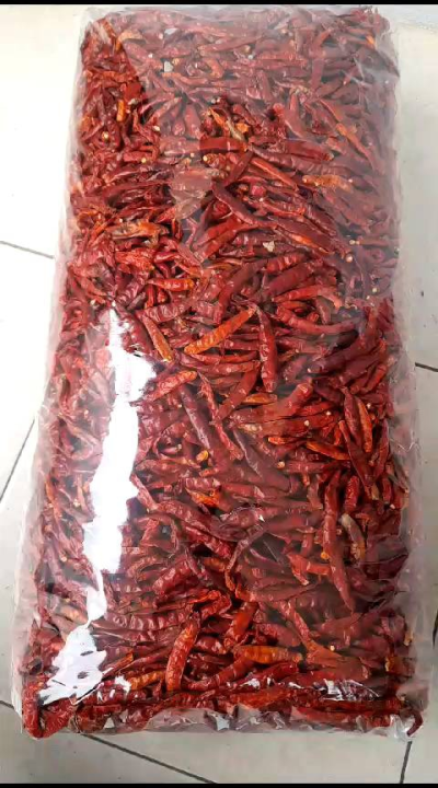 PROMO 5 KG PACKING CABE RAWIT /CAPLAK KWALITAS SUPER PEDAS KEMASAN 5 KG ...