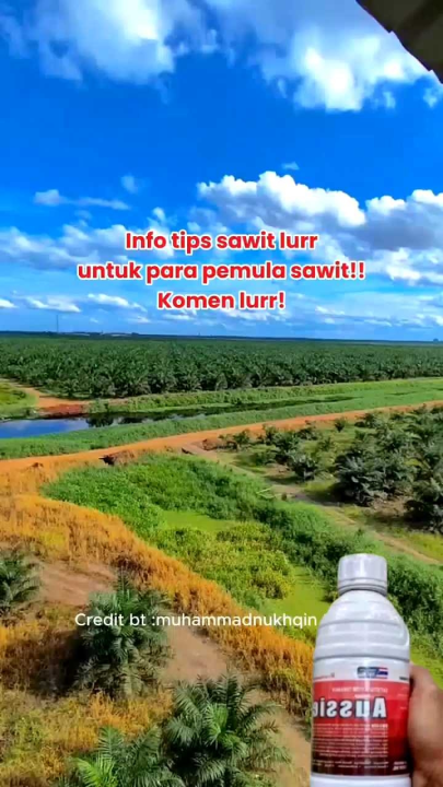 (PROMO) AUSSIE official nutrisi sawit | 1L BASMI TUNTAS GANODERMA ...