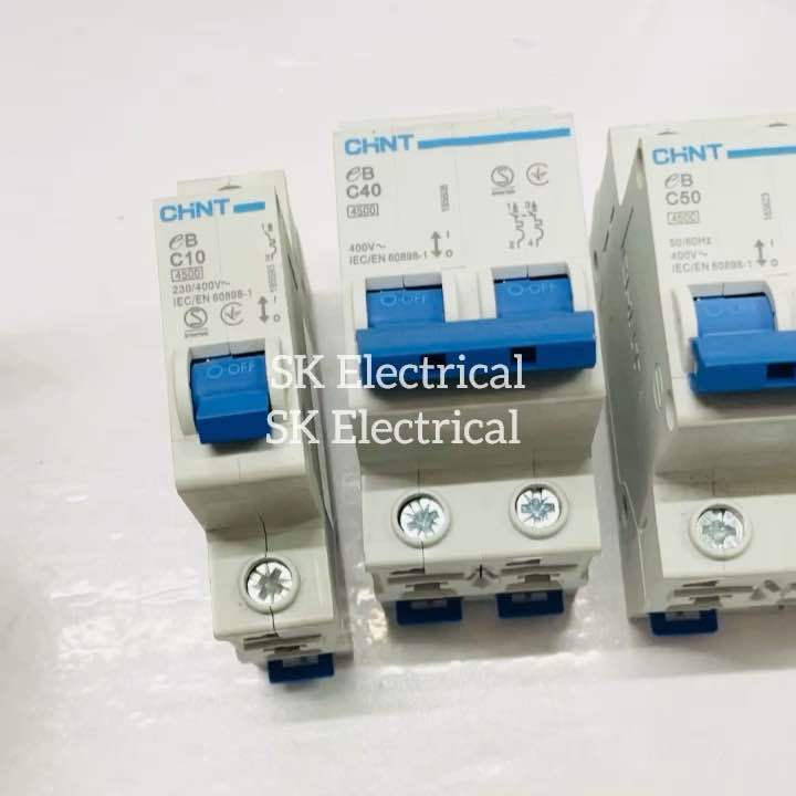 CHINT 2 POLE 2A-63A MINIATURE CIRCUIT BREAKER MCB | SK Electrical | Lazada PH