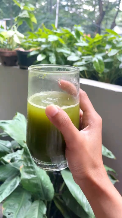 Noomi Matcha Pure Uji Matcha Tanpa Campuran Untuk Kesehatan Dan ...