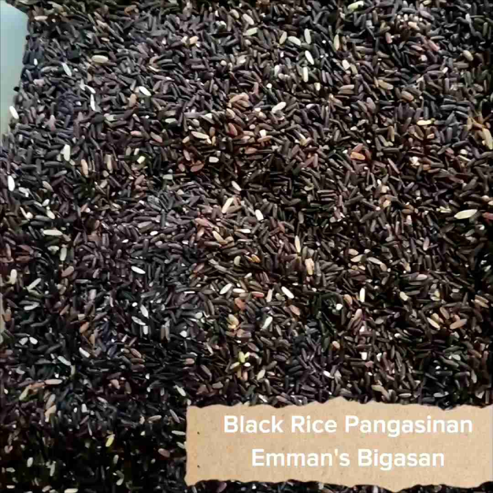5KG Pack Black Rice Pangasinan [Emman's Bigasan] | Lazada PH
