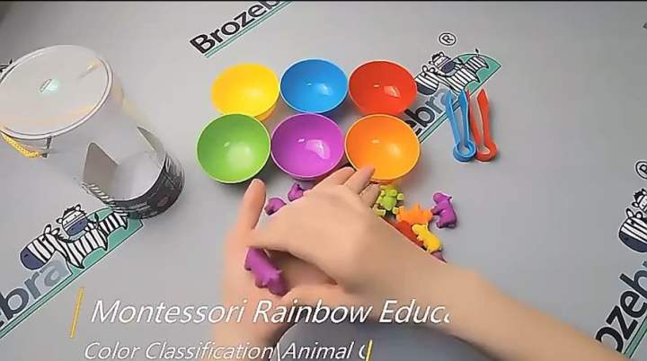 Montessori Classification Rainbow Counting Math Color Sorting Toy Early ...