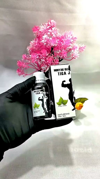 Daun Bungkus Papua daun TIGA JARI HERBAL TRADISIONAL PAPUA DAUN BUNGKUS ...