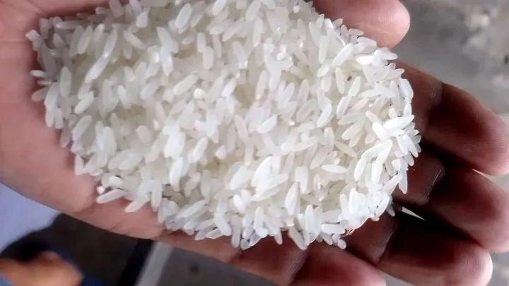 HOBI DENORADO RICE 25KG RED | Lazada PH