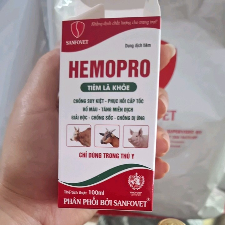 Hemopro 20ml, 100ml sanfovet chống suy kiệt, phục hồi cấp tốc | Lazada.vn