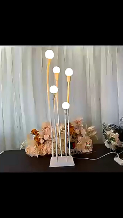 ROMANTIC BENDABLE LIGHTS WITH LED BULBS, AND FAIRY BULBS. | Lazada PH