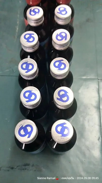 SIX-NINE SYRUP น้ำหวานเข้มข้น แท้100% | Lazada.co.th