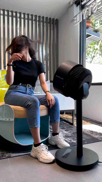 Viomi Smart Circulation Fan | 99 Air Volume Speed Setting, Bionic Blade ...