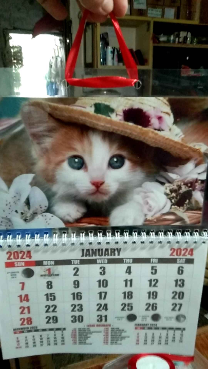 2024 Calendar Laminated 12 monthly pages size A5 Laminated Glossy Photo ...